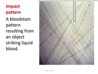blood spatter analysis | PPT