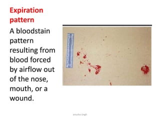blood spatter analysis | PPT