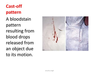 blood spatter analysis | PPT
