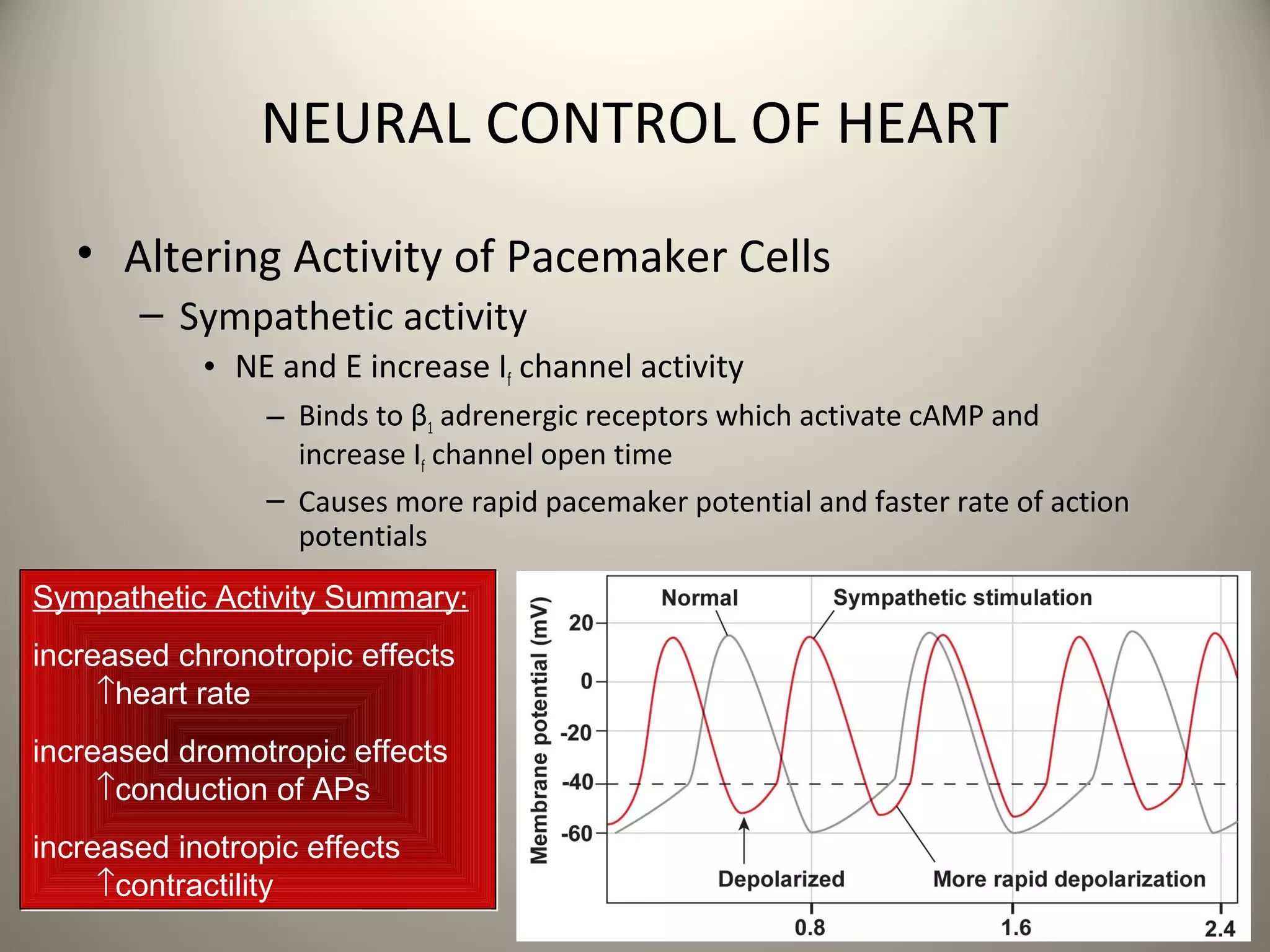 First cardiovascular physiology | PPT