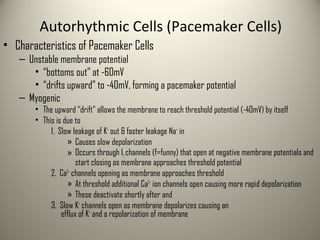 First cardiovascular physiology | PPT