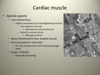 First cardiovascular physiology | PPT