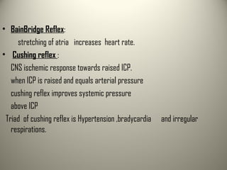 First cardiovascular physiology | PPT