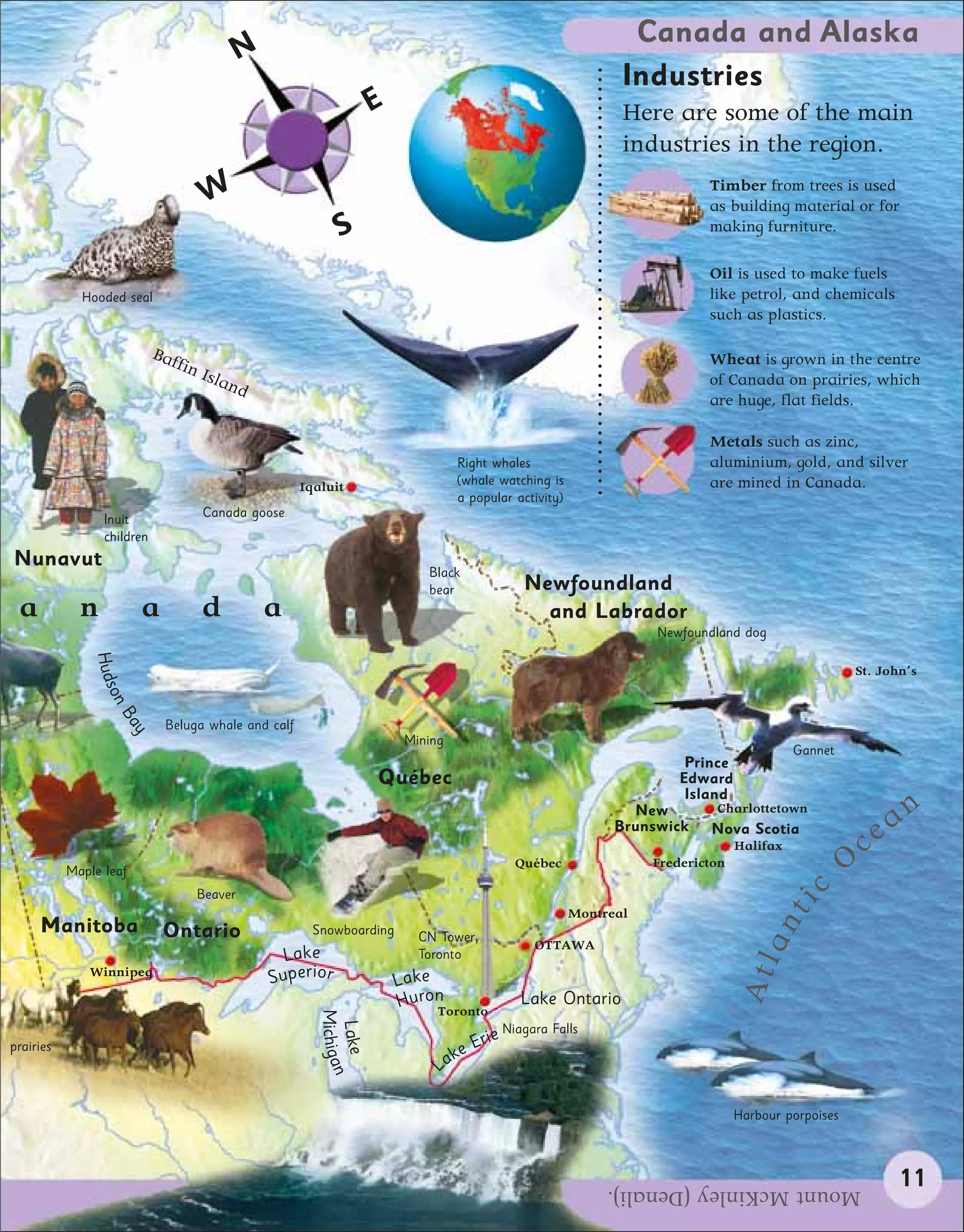First childrens encyclopedia | PDF