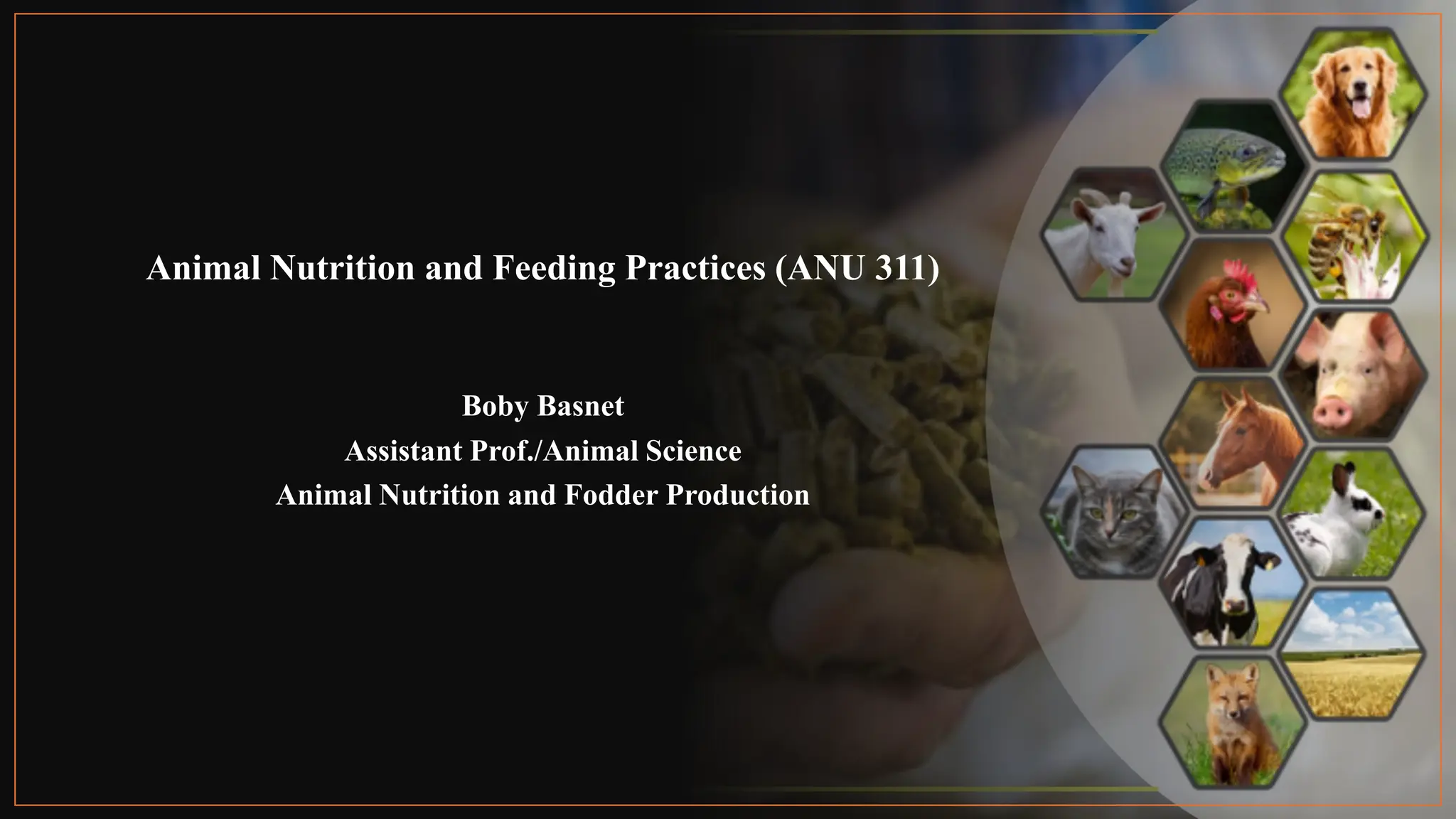 Animal Nutrition: Terminology, Cell, Tissues | PDF