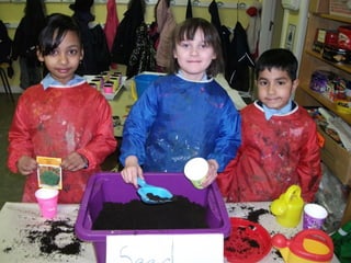 First class seed planting | PPT