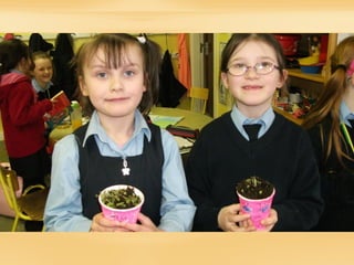 First class seed planting | PPT