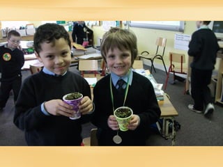 First class seed planting | PPT