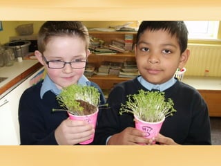 First class seed planting | PPT