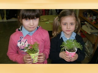 First class seed planting | PPT