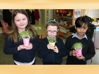 First class seed planting | PPT