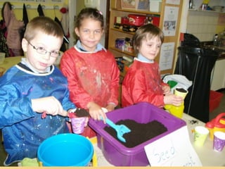 First class seed planting | PPT