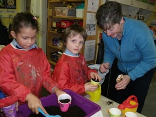 First class seed planting | PPT