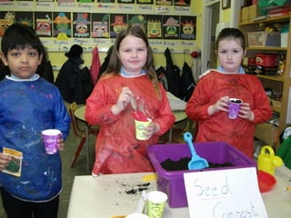 First class seed planting | PPT