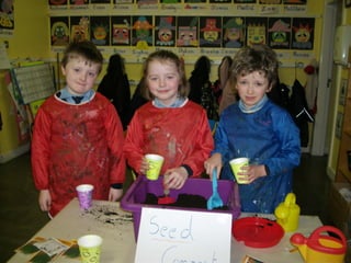 First class seed planting | PPT