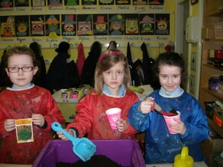 First class seed planting | PPT