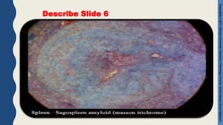 General pathology | PPTX