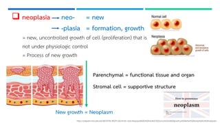English for pharmacy student in topic of oncology and radiology | PPT
