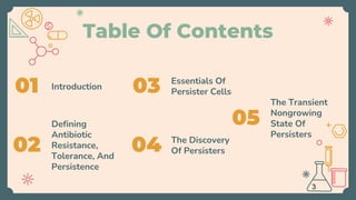 In Vitro Studies of Persister Cells: A review | PPTX