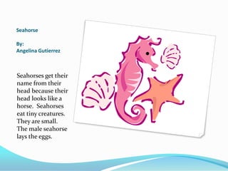 First grade ocean research | PPTX