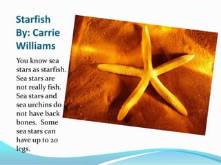 First grade ocean research | PPTX