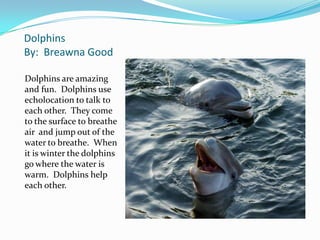 First grade ocean research | PPTX