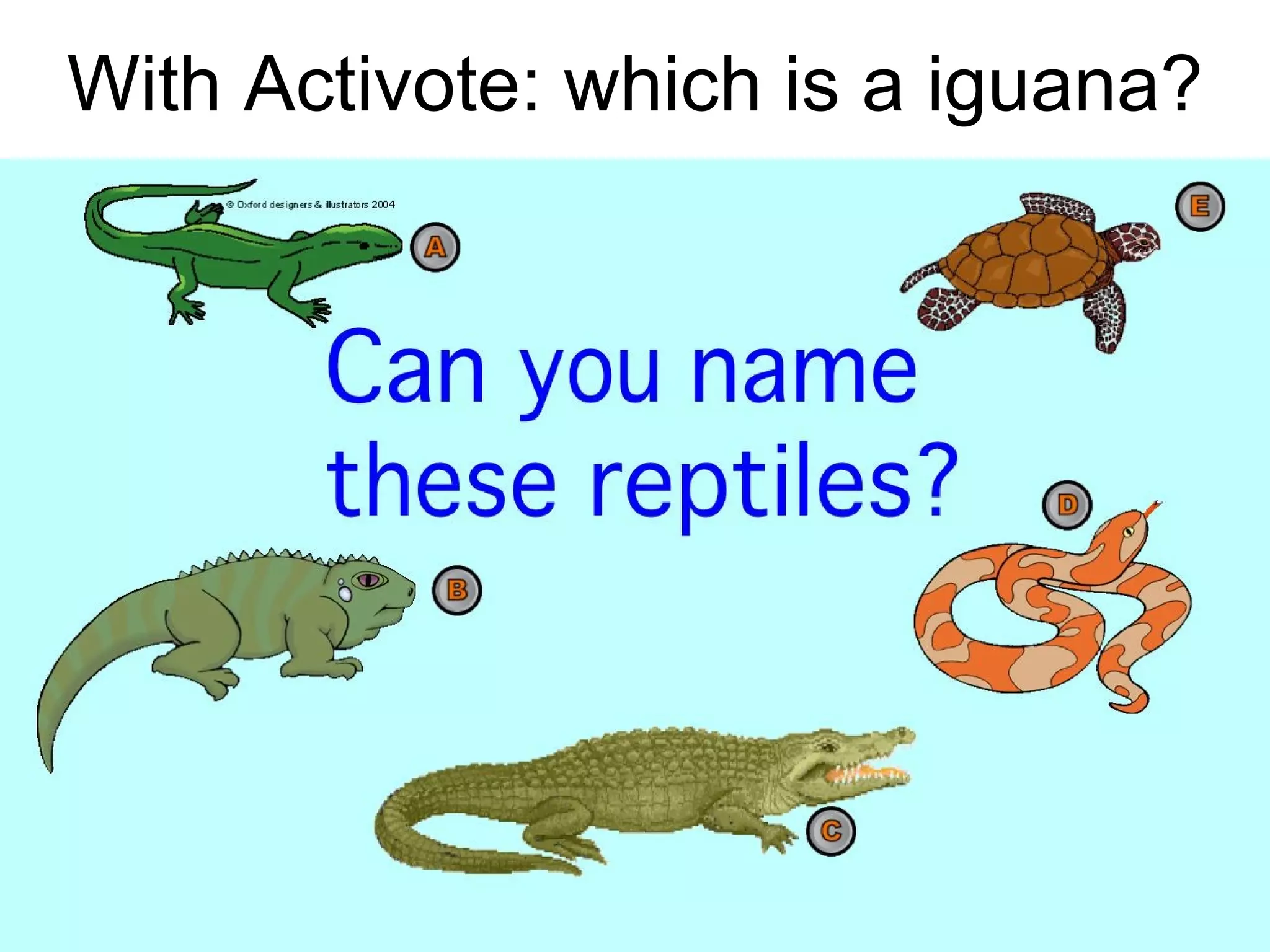 First Grade Reptiles | PPT