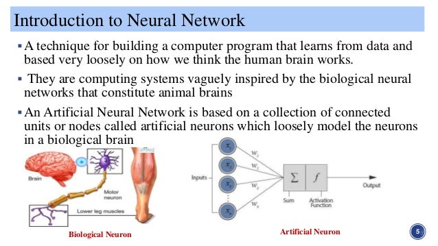 Neural Netwrok