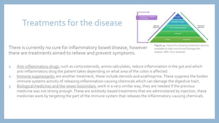 First inflammatory bowel disease presentation finished version (2) | PPT