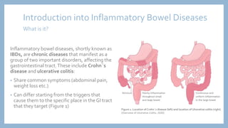 First inflammatory bowel disease presentation finished version (2) | PPT