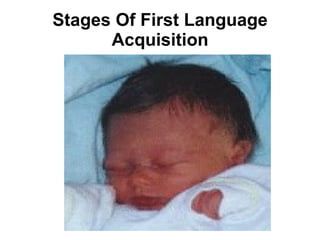 First language acquisition | PPT