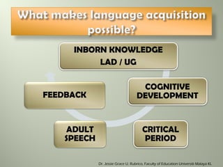 First Language Acquisition | PDF