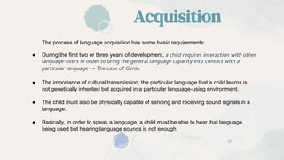 First language acquisition | PPTX