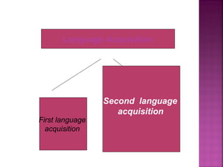 First language acquisition stages | PPT