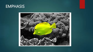 FIRST LESSON EXAMPLESINFOGRAPHICS Principles of Graphics and layout ...