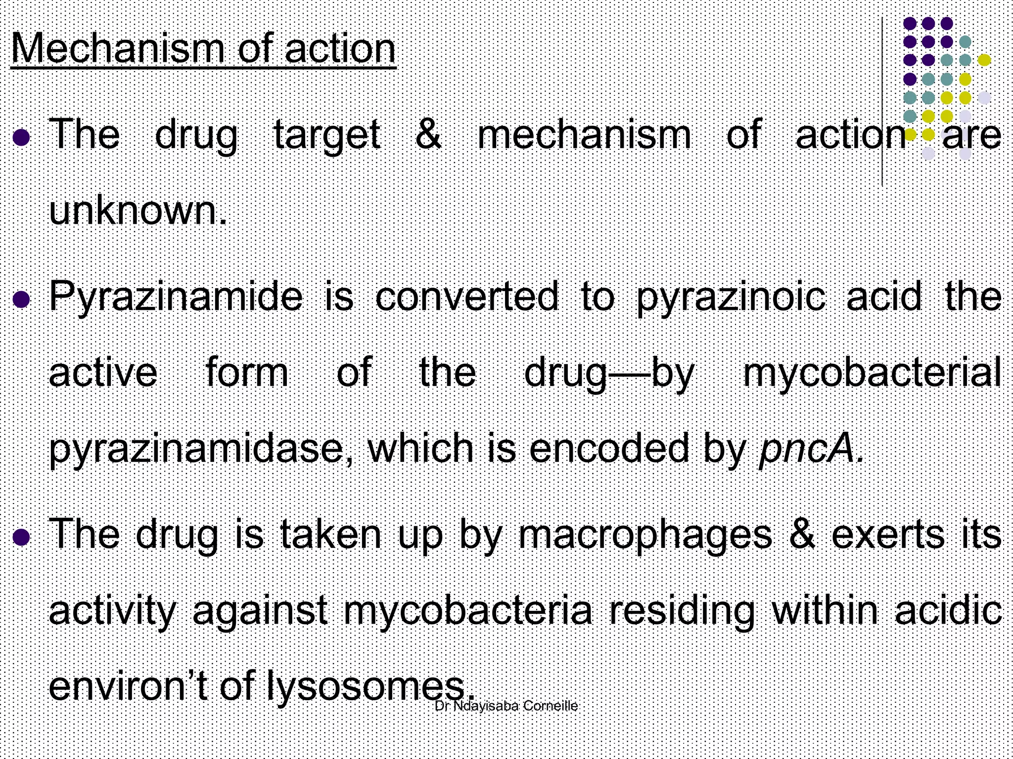 First Line TB Drugs.pptx