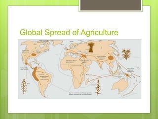 AP World History, Chapter 1: First peoples, first farmers - Ways of the ...