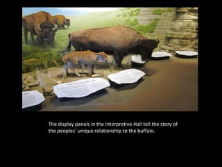 First Peoples Buffalo Jump State Park Visitor Center Slideshow | PPT
