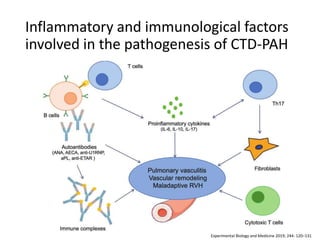 Pulmonary arterial hypertension in rheumatic diseases | PPT