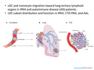Pulmonary arterial hypertension in rheumatic diseases | PPT