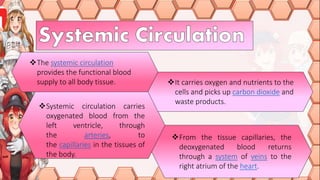Human circulatory system | PPTX