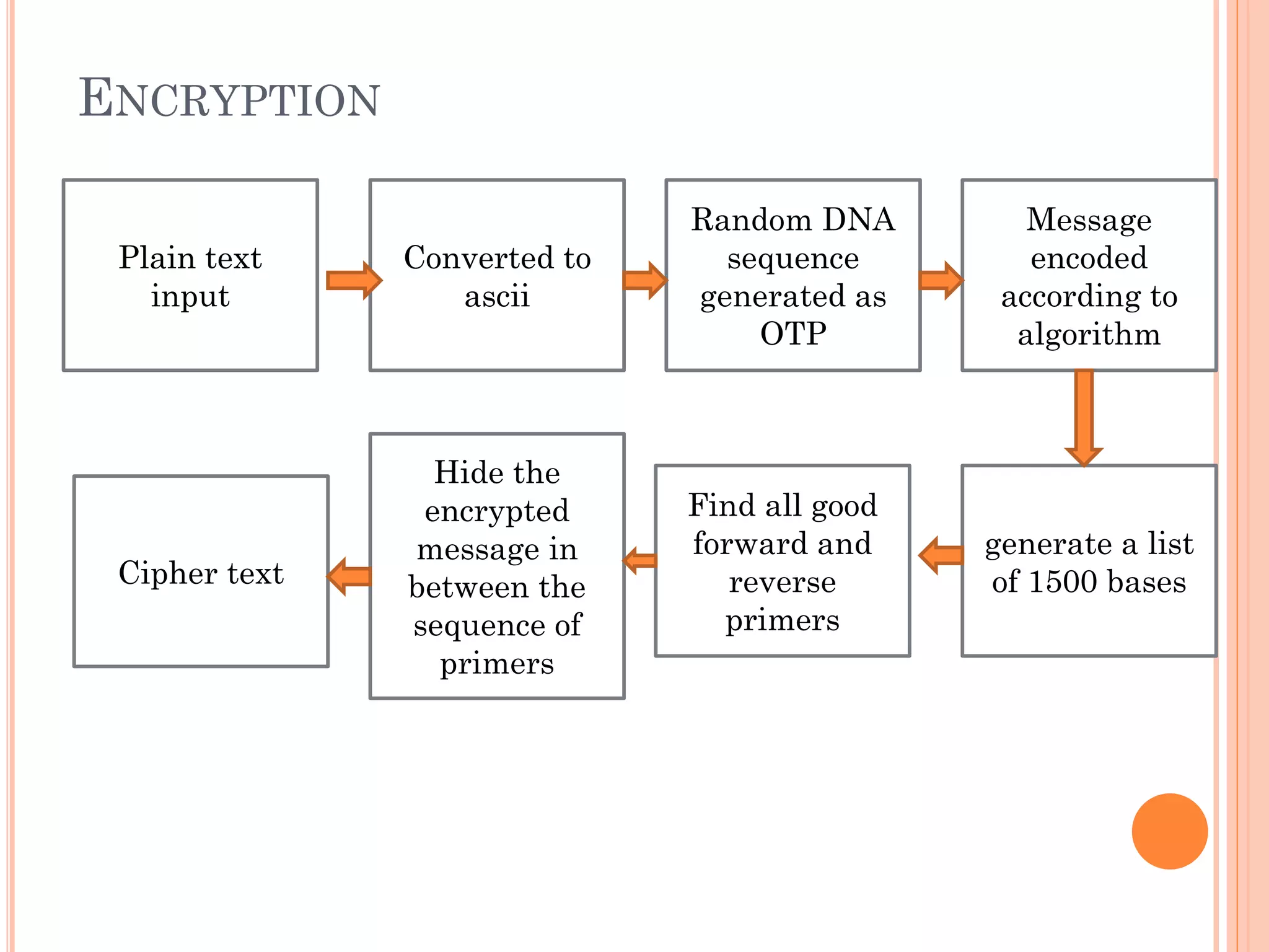 DNA secret writing project first review | PPTX