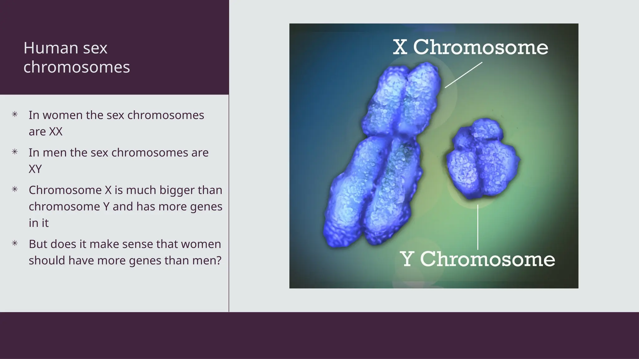 first section basic genetics laboratory.pptx | Reproductive Health ...