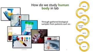 first section physiology laboratory.pptx