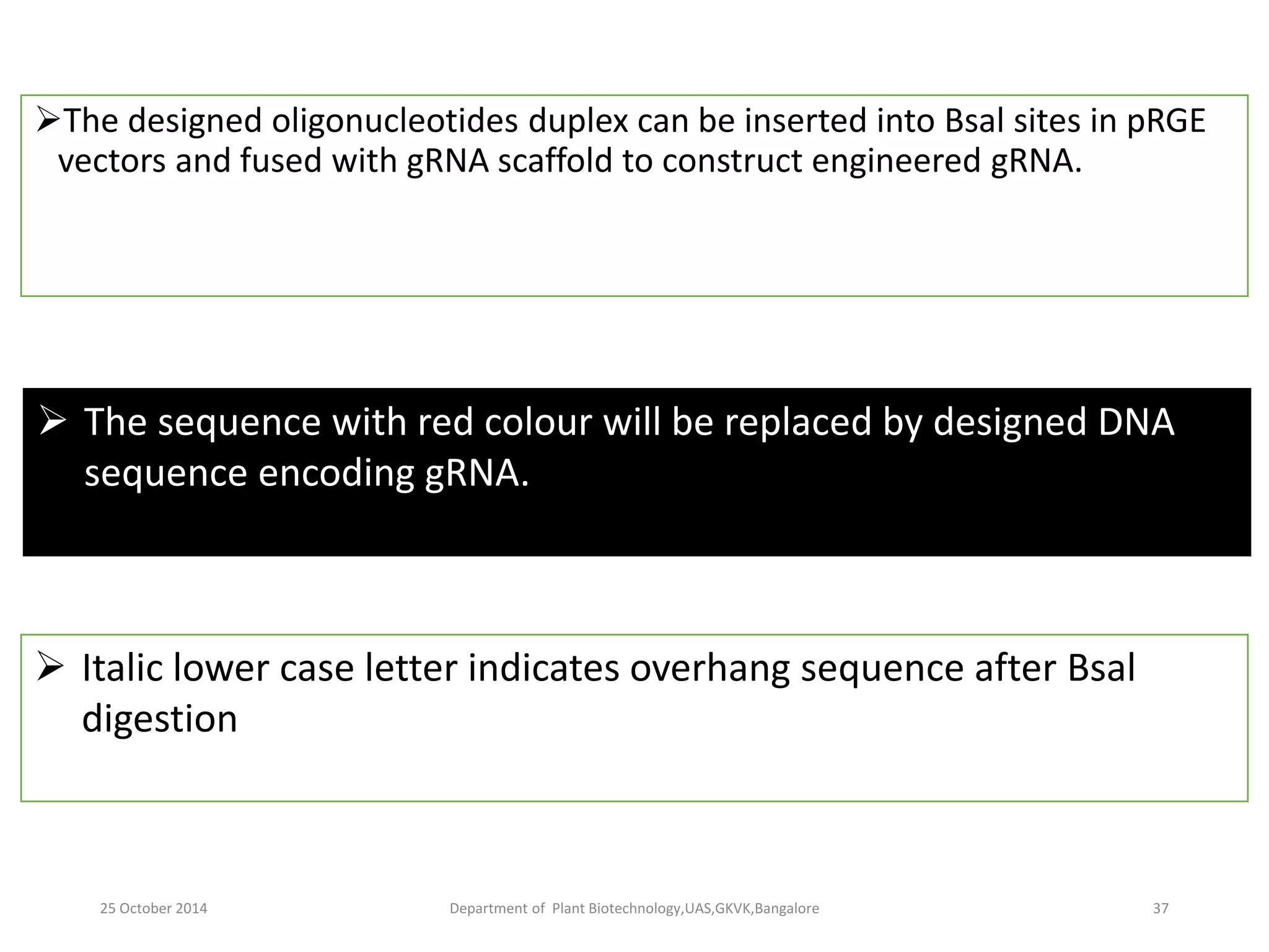 CRISPR cas, a potential tool for targeted genome modification in crops ...