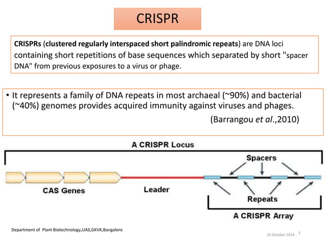 CRISPR cas, a potential tool for targeted genome modification in crops ...