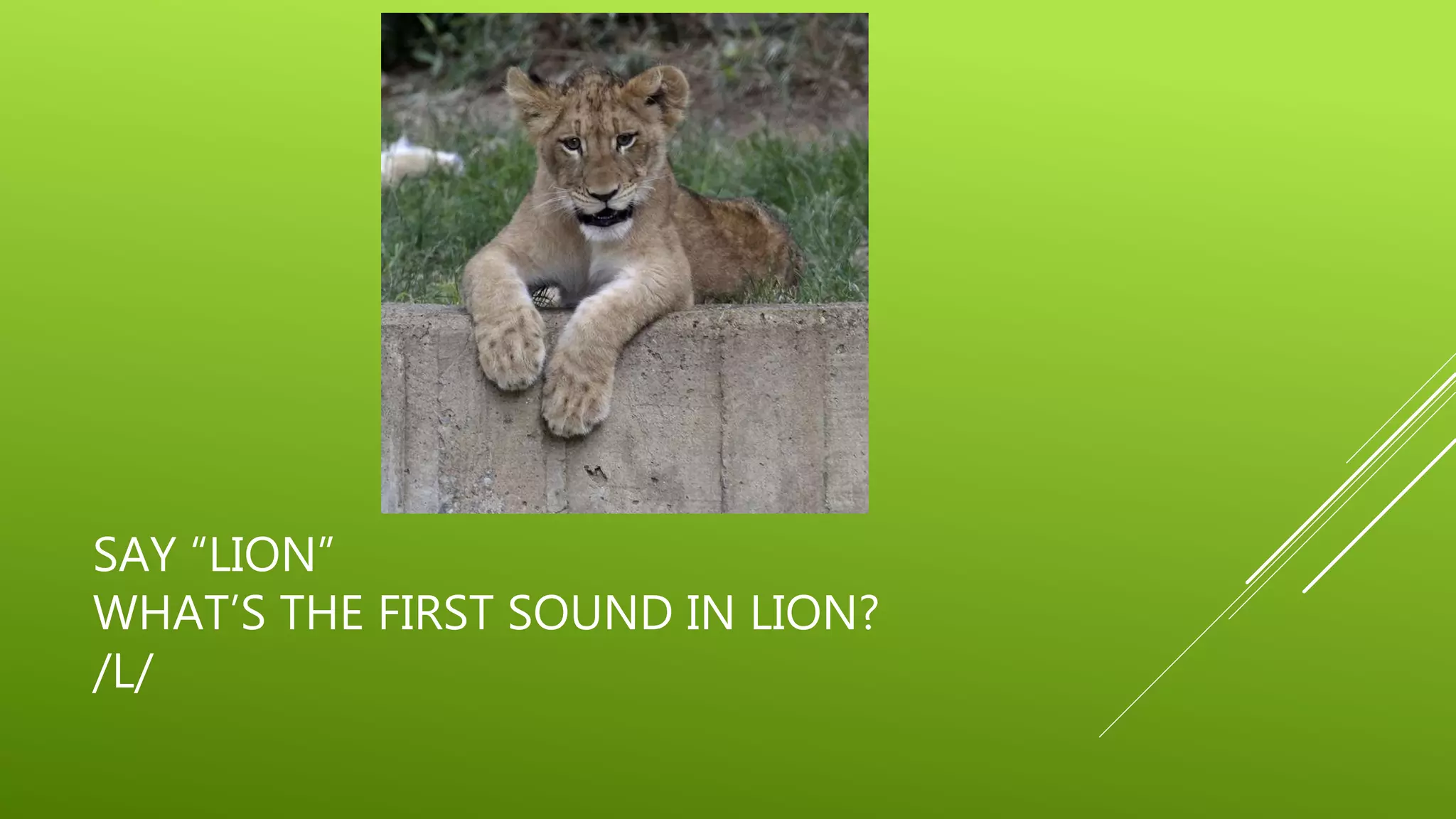 First sounds lesson for Kindergarten students | PPTX