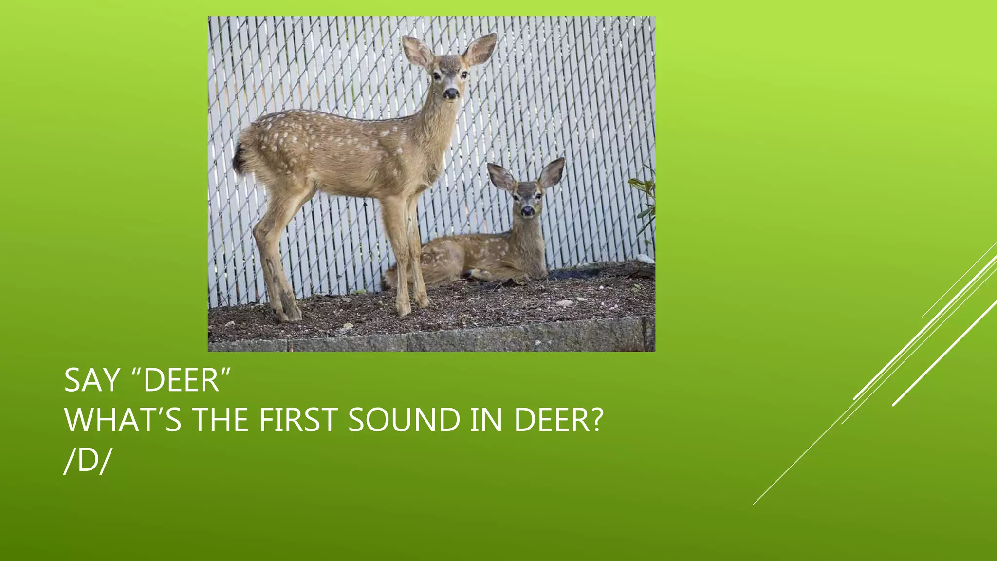 First sounds lesson for Kindergarten students | PPTX