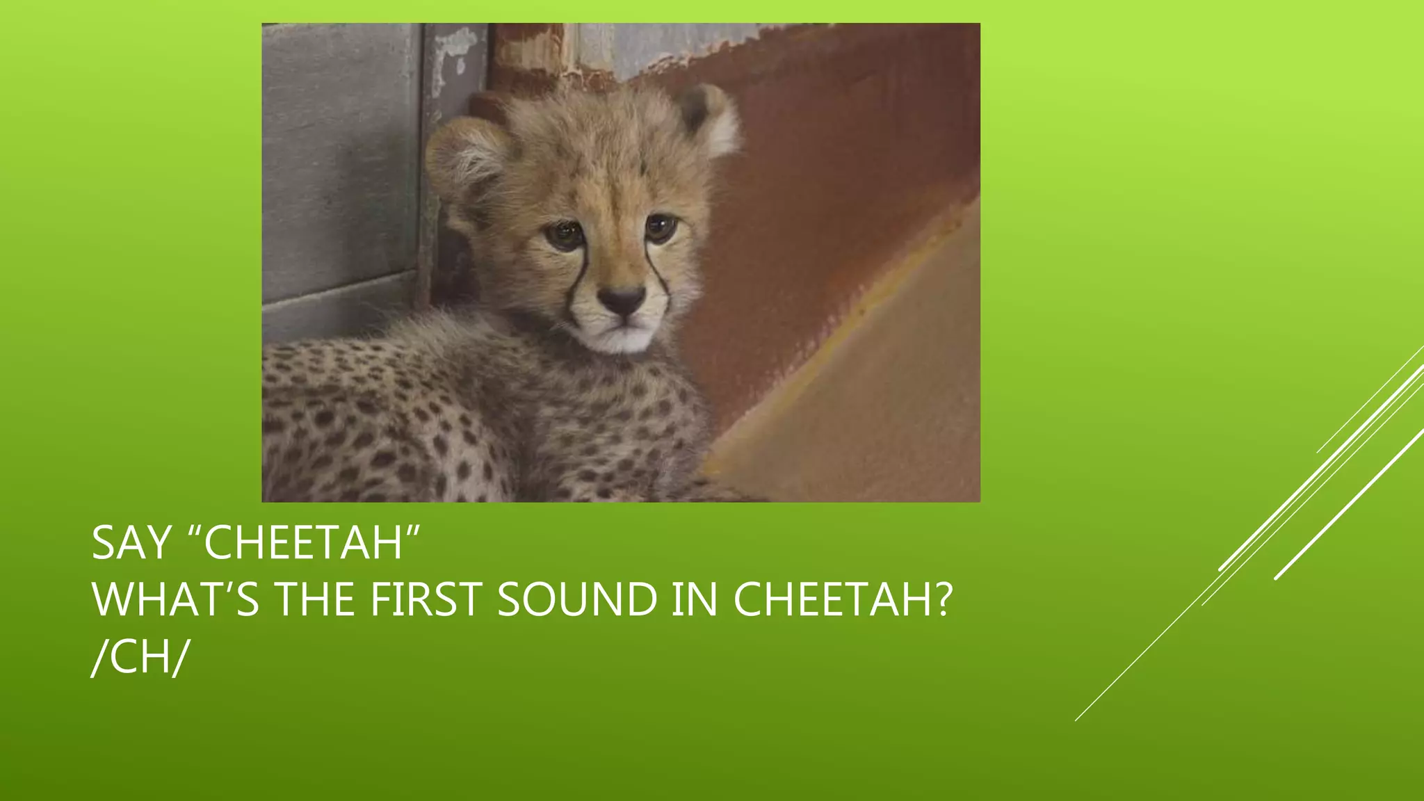 First sounds lesson for Kindergarten students | PPTX