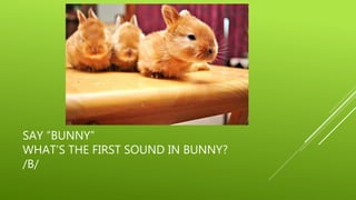 First sounds lesson for Kindergarten students | PPTX